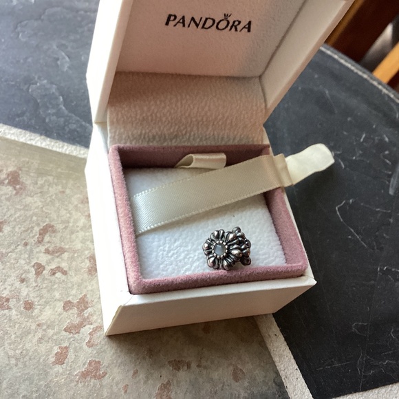Pandora | Jewelry | Pandora Charm | Poshmark